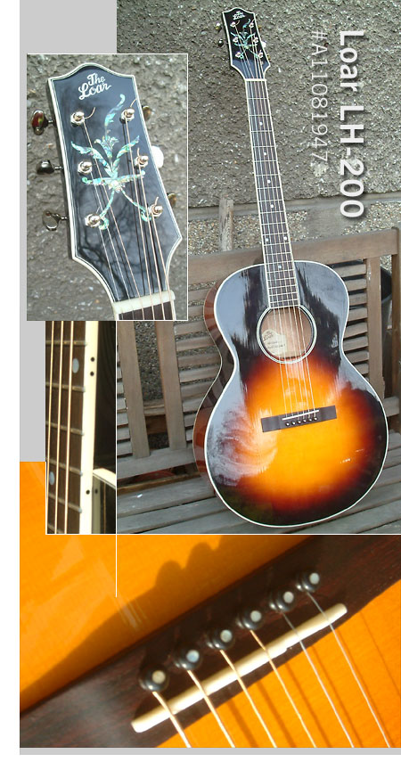 lefthand gear.de /The Loar LH 200-SN / Linkshänder / left handed